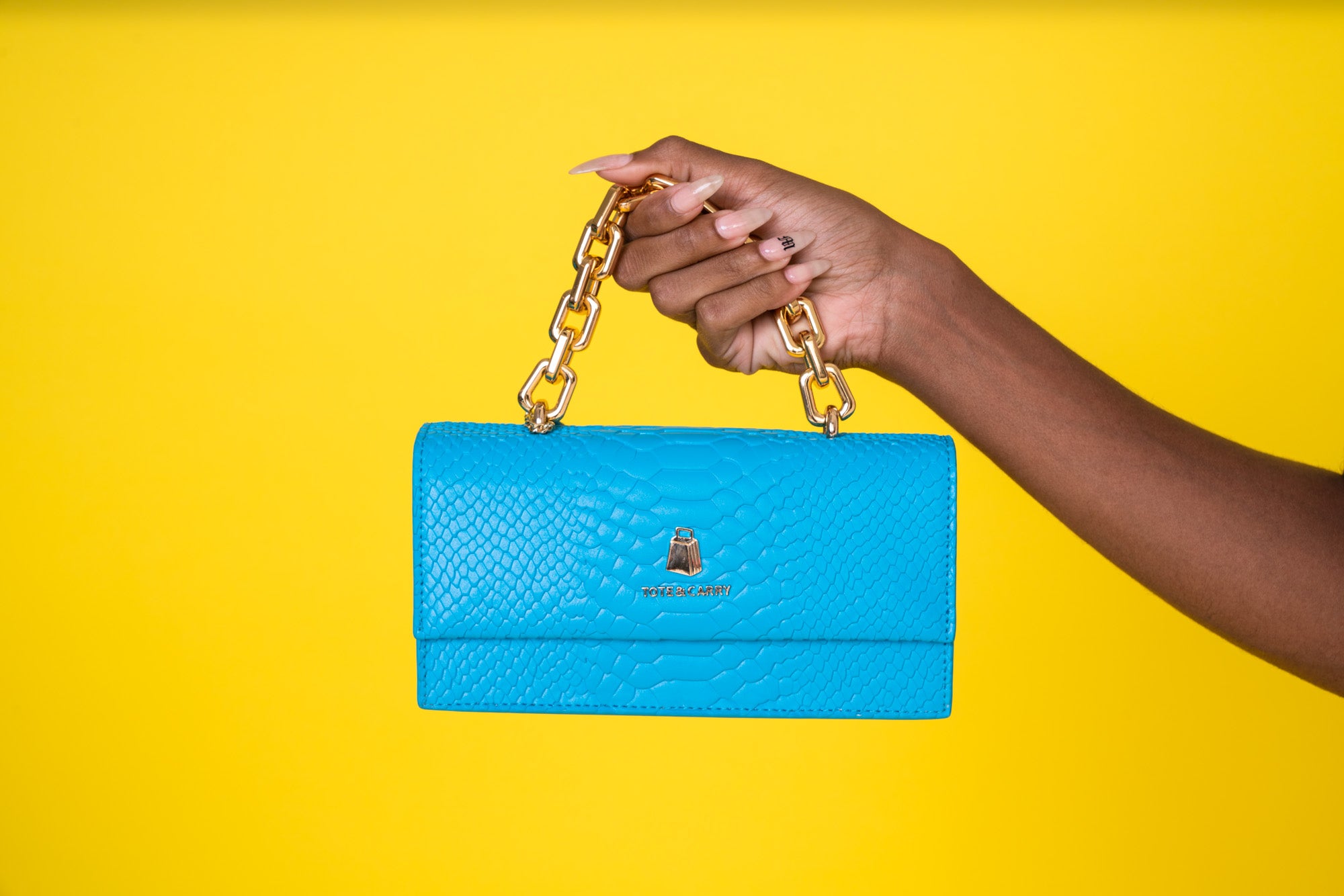 How To Store Purses - Tips From Experts | Tote&Carry
